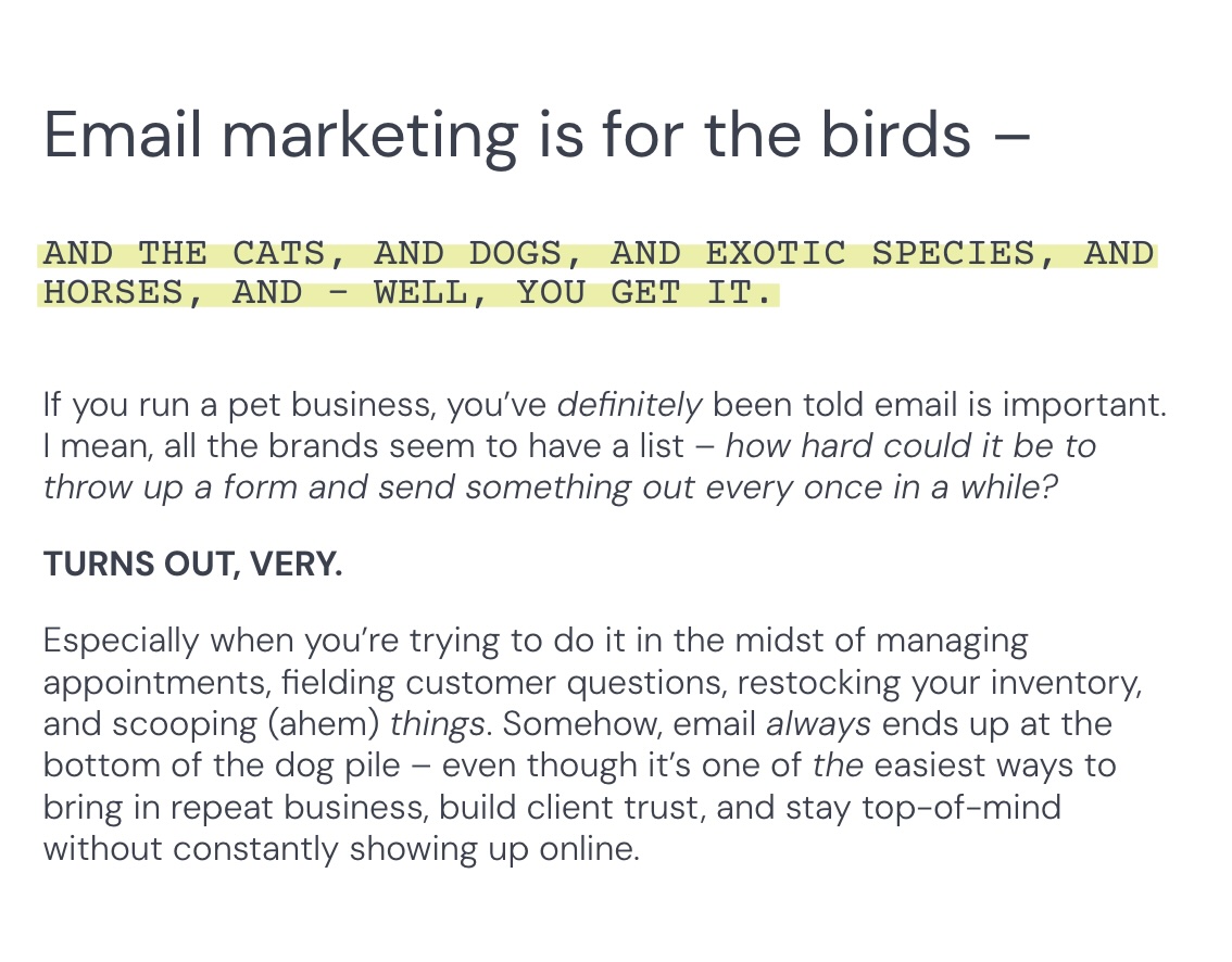 The Tails & Emails Website Copywriting Project